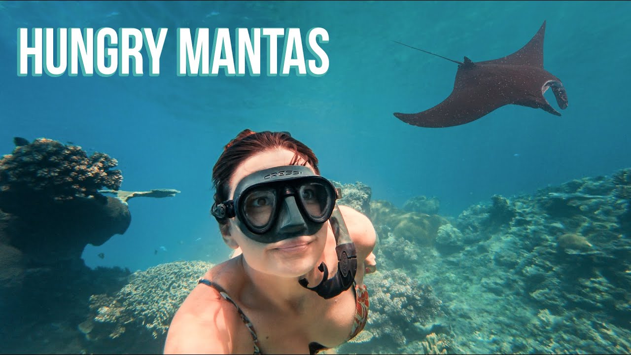 Exploring a coral garden!