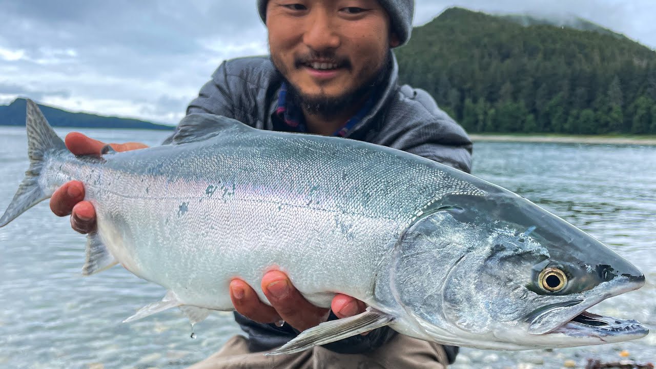 Hot salmon bite while shore fishing in Alaska