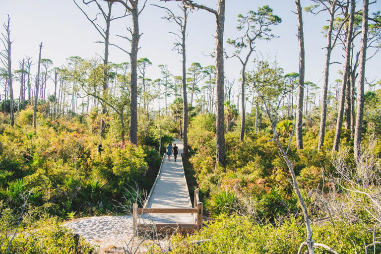 Florida’s 'forgotten' coastline is filled with quaint towns and fresh ...