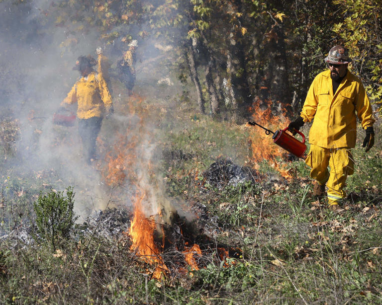 YTT tribe leads cultural burns as part of SLO restoration project. 'So ...