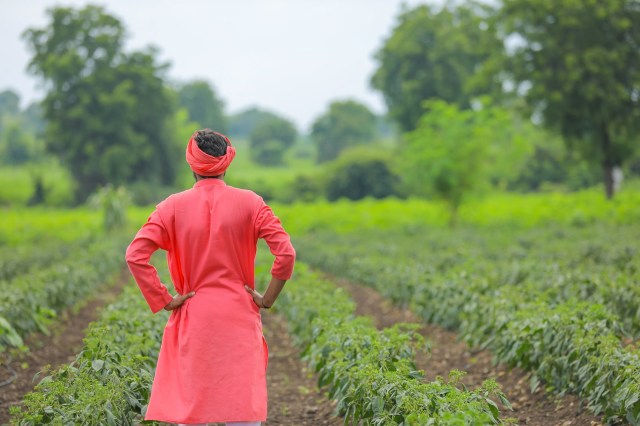 Farmers devastated as key food becomes harder to grow: 'Expecting a ...