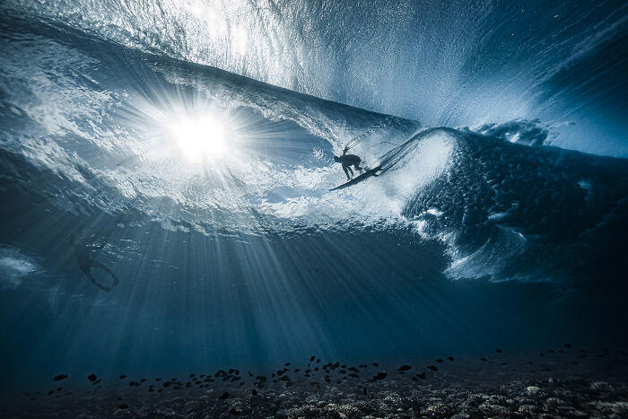 The Ocean Photography Awards (30 pics)