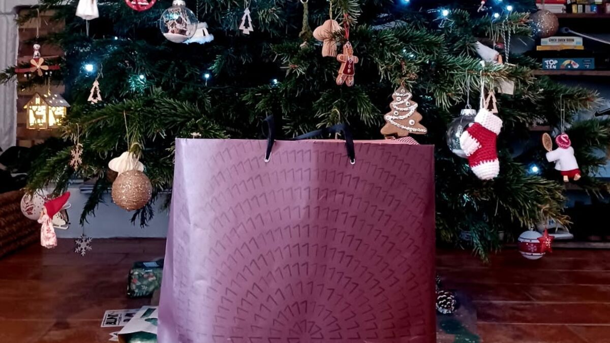 « Je n’ai pas voulu le laisser… » : Julien a trouvé un sac plein de ...