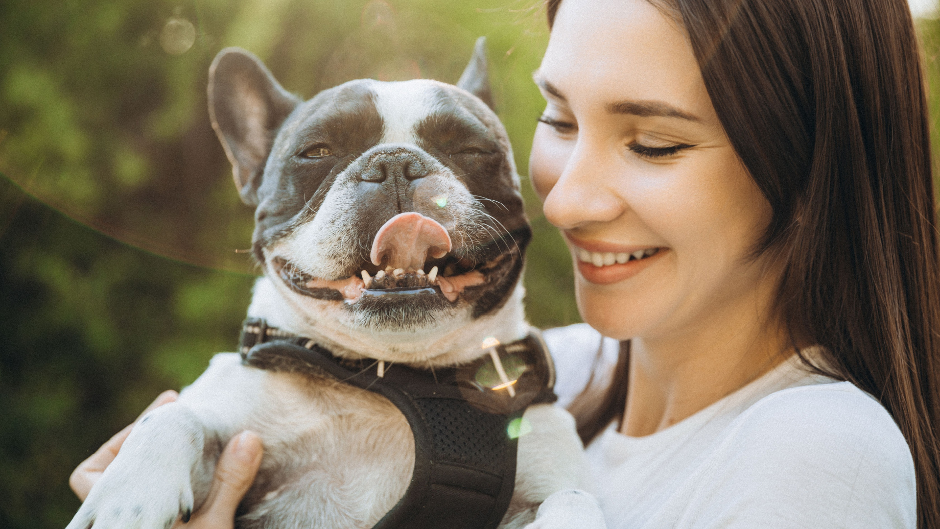 Does your dog see you as their mom? Key signs that answer the question