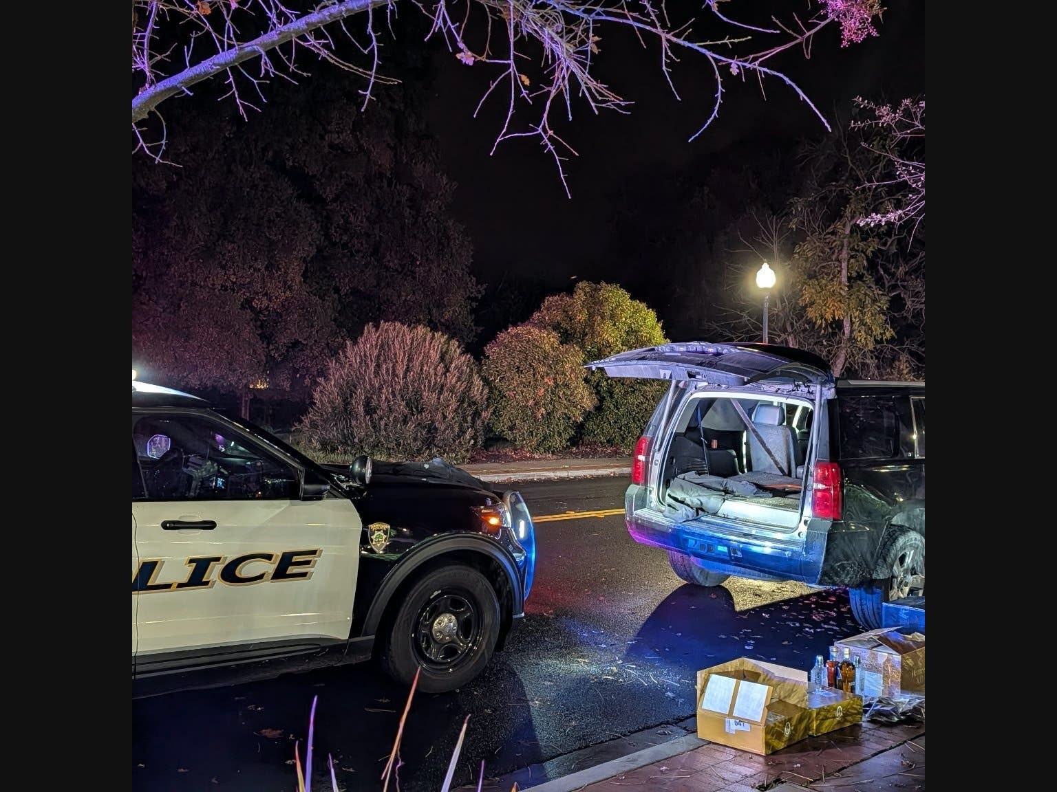 Separate suspects arrested for stolen cars, license plate in Danville