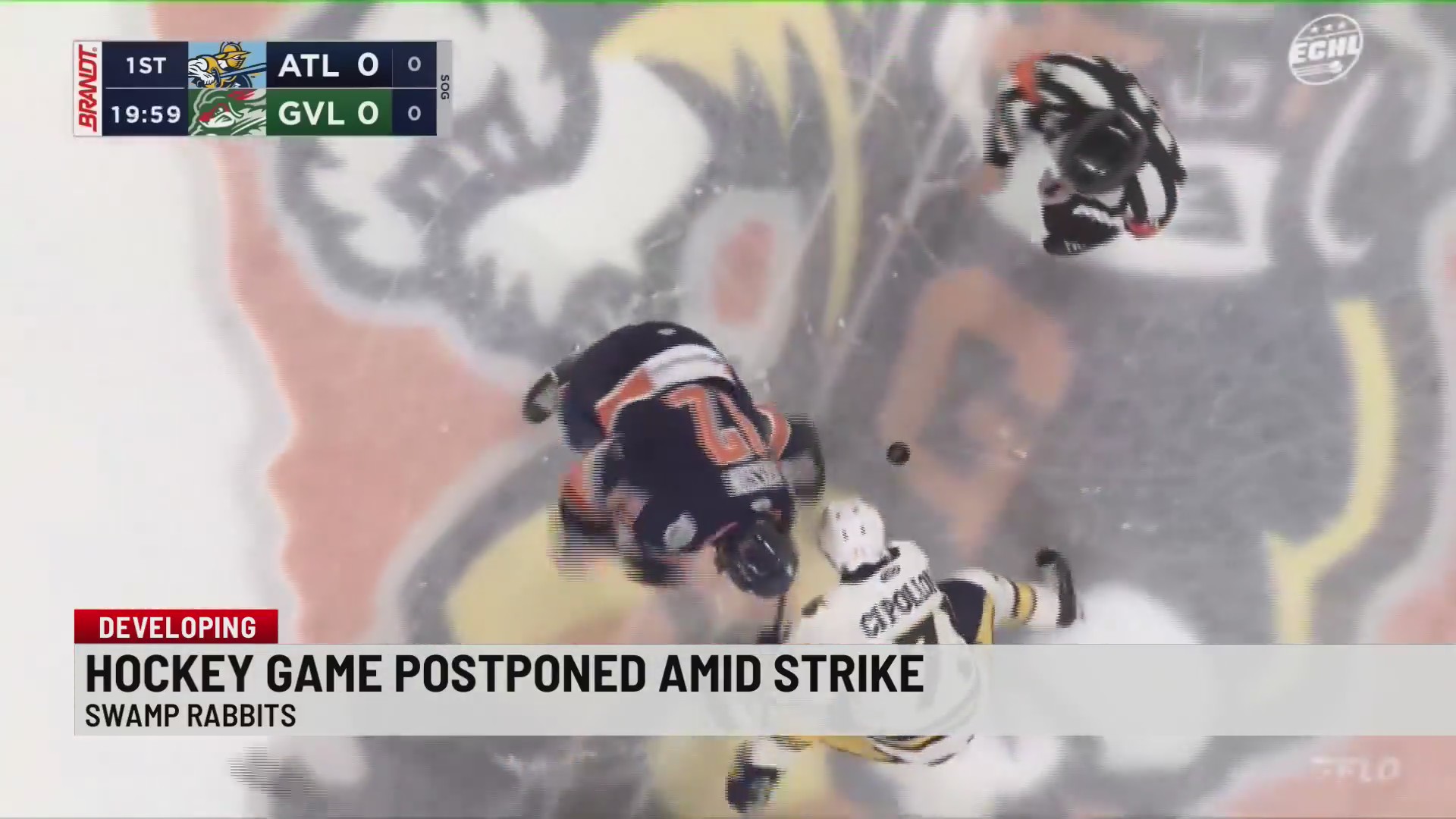 Greenville Swamp Rabbits, ECHL teams, on strike amid contract disputes