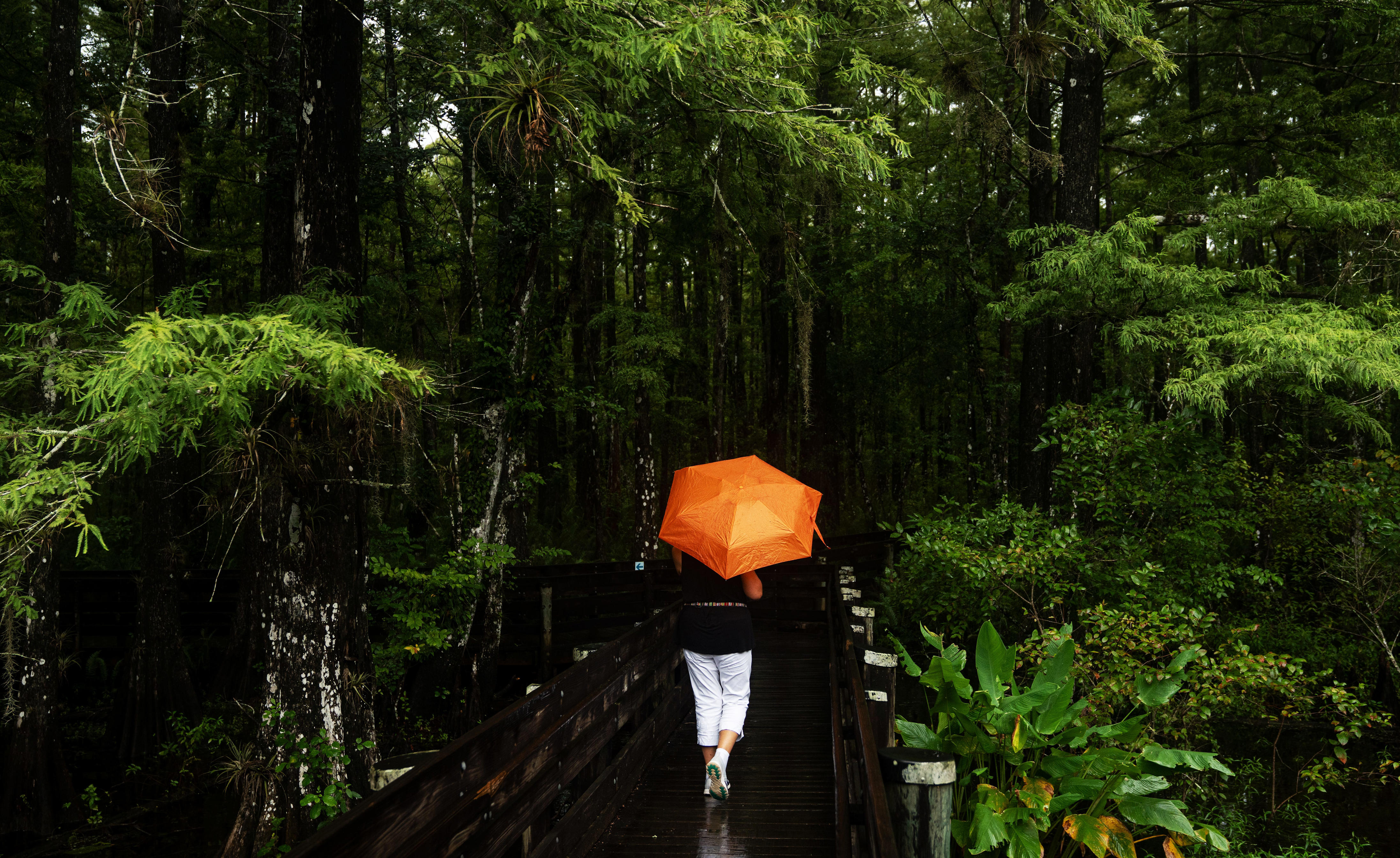Moments, light, composition mark photographer Andrew West's checklist