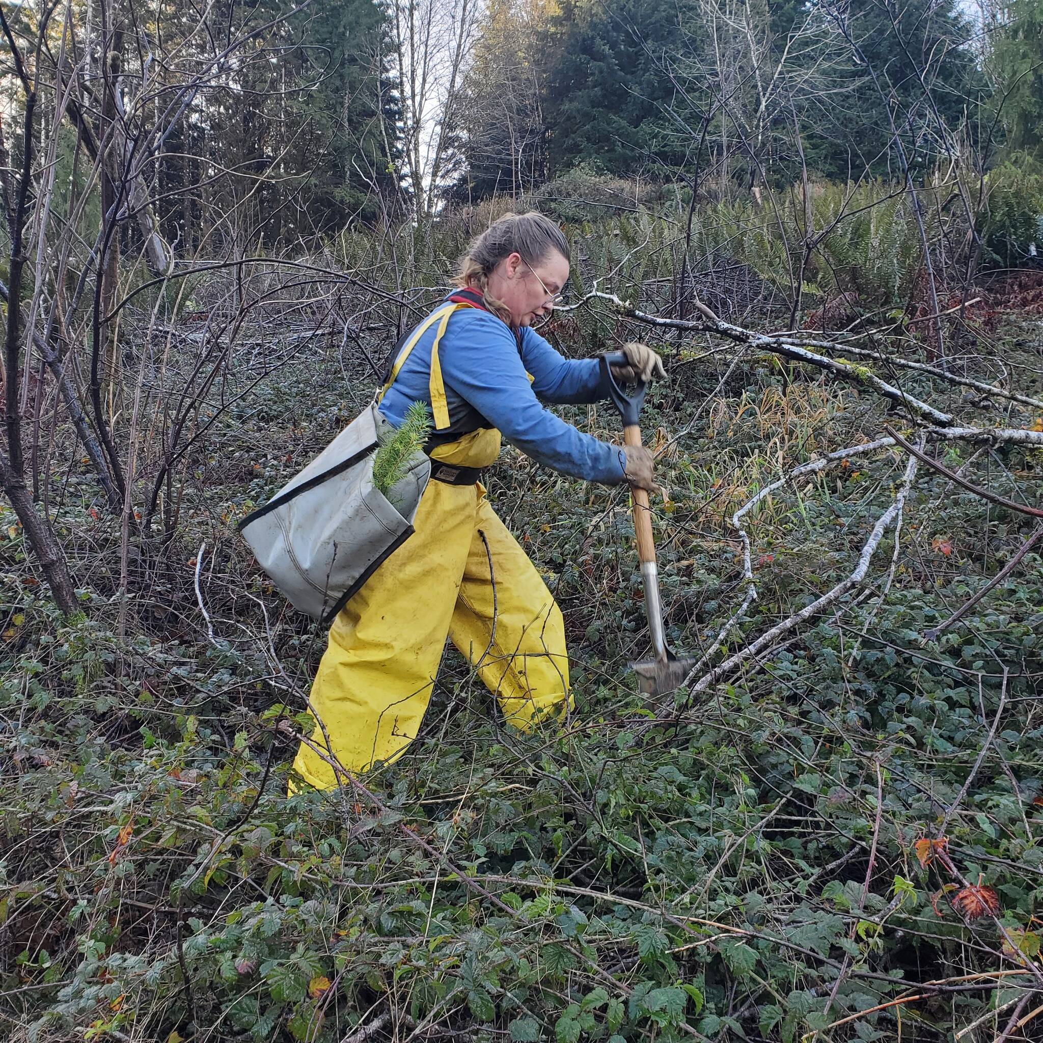 Planting a future forest at the Satsop Business Park