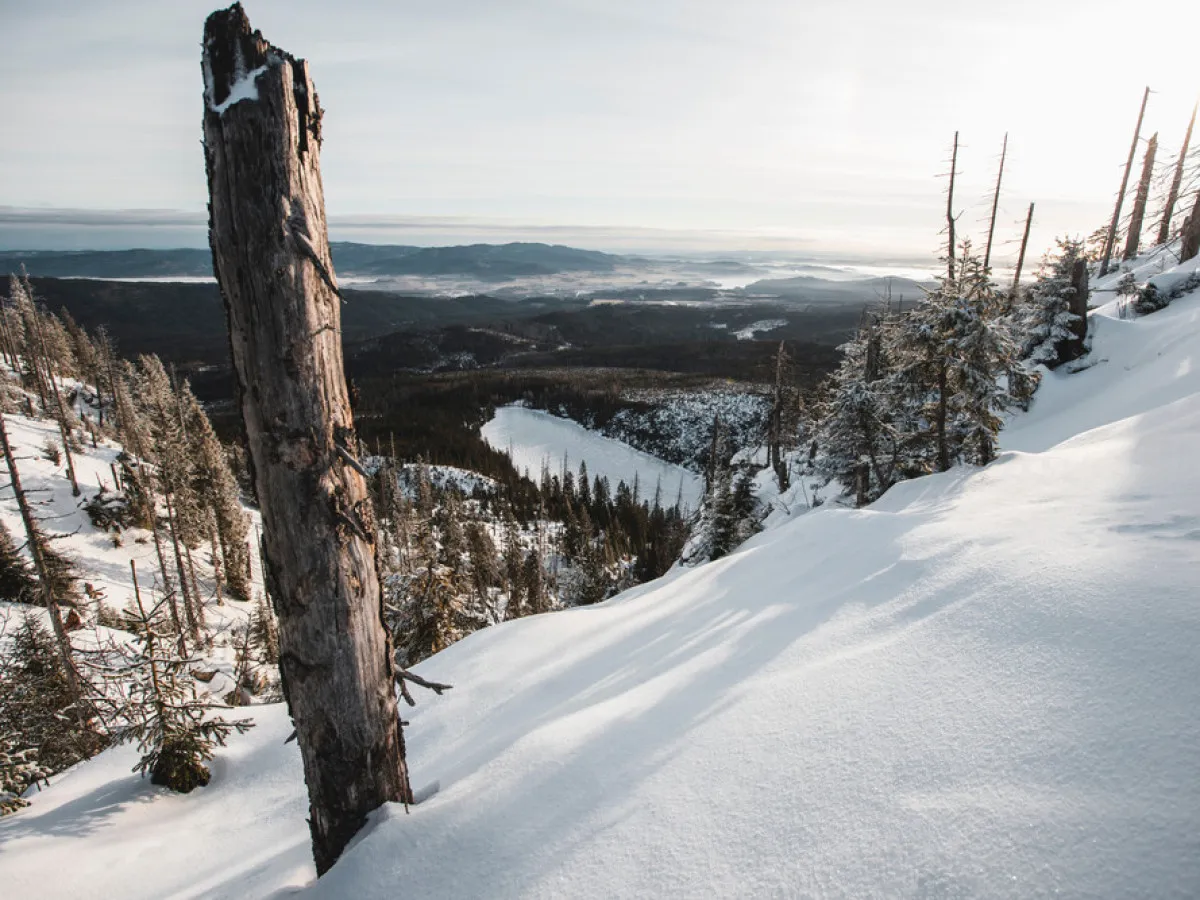 Do Česka přijde koncem roku zima a sněžení
