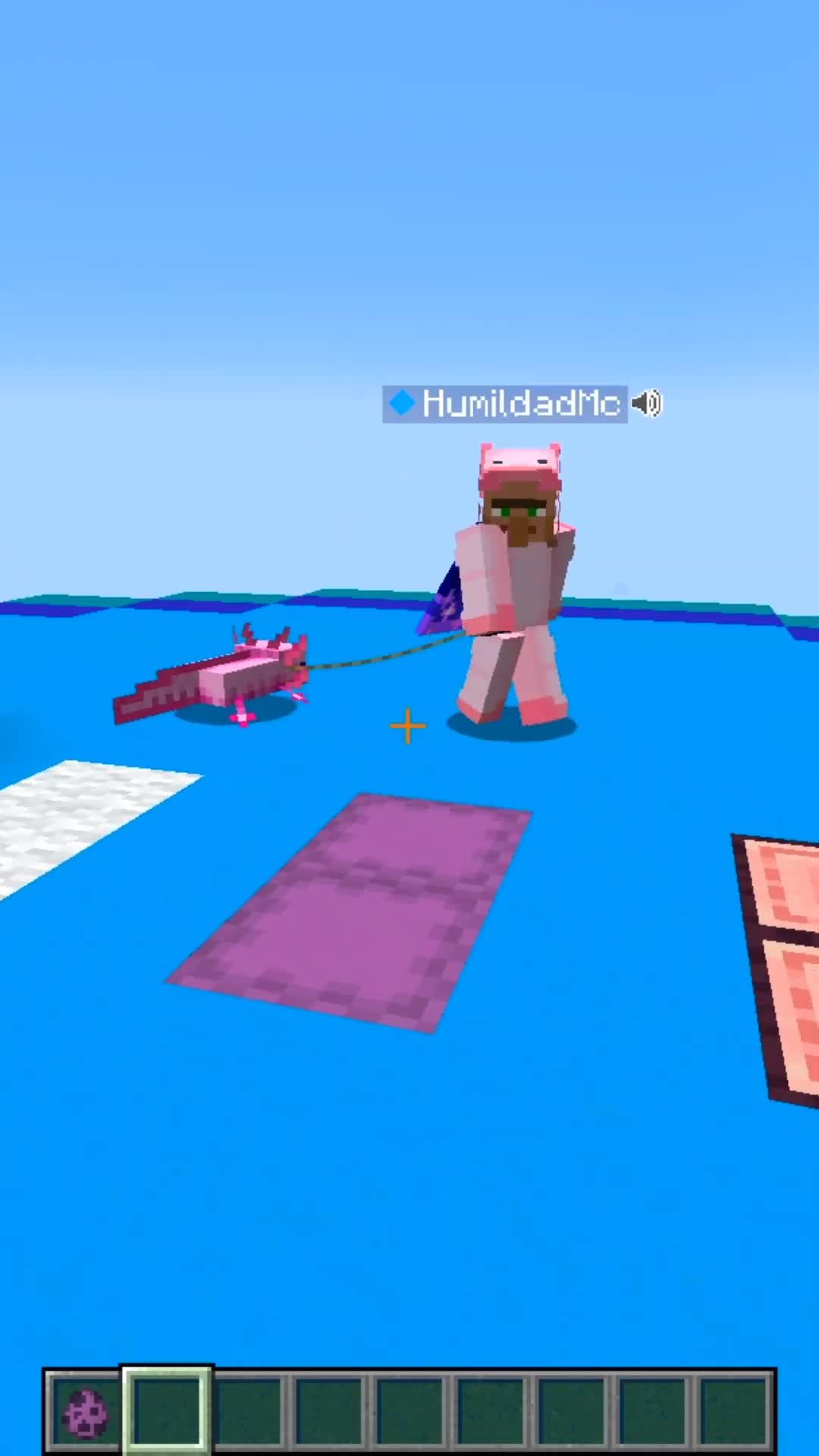 ADVINA EL BLOQUE DE TÚ COMPAÑERO EN Minecraft 😎👍