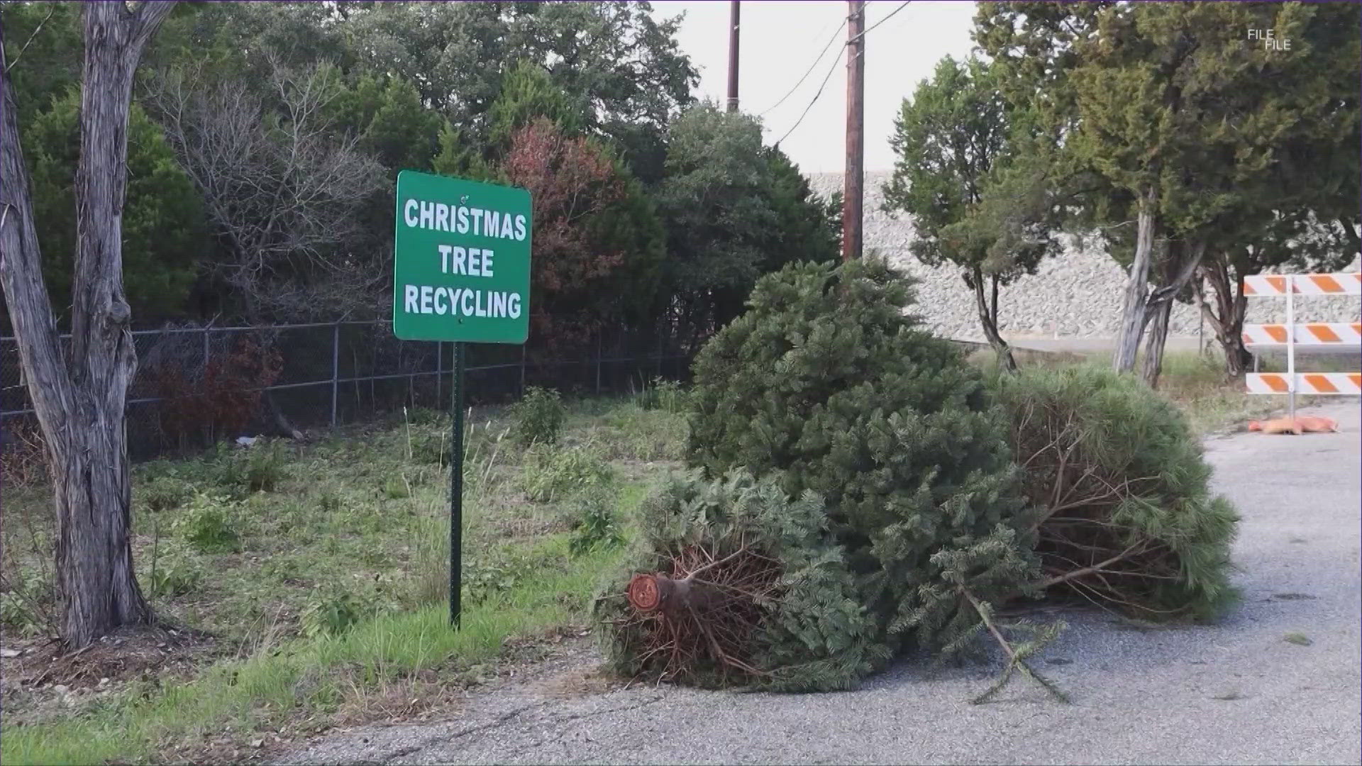 Where to recycle your real Christmas tree in Austin
