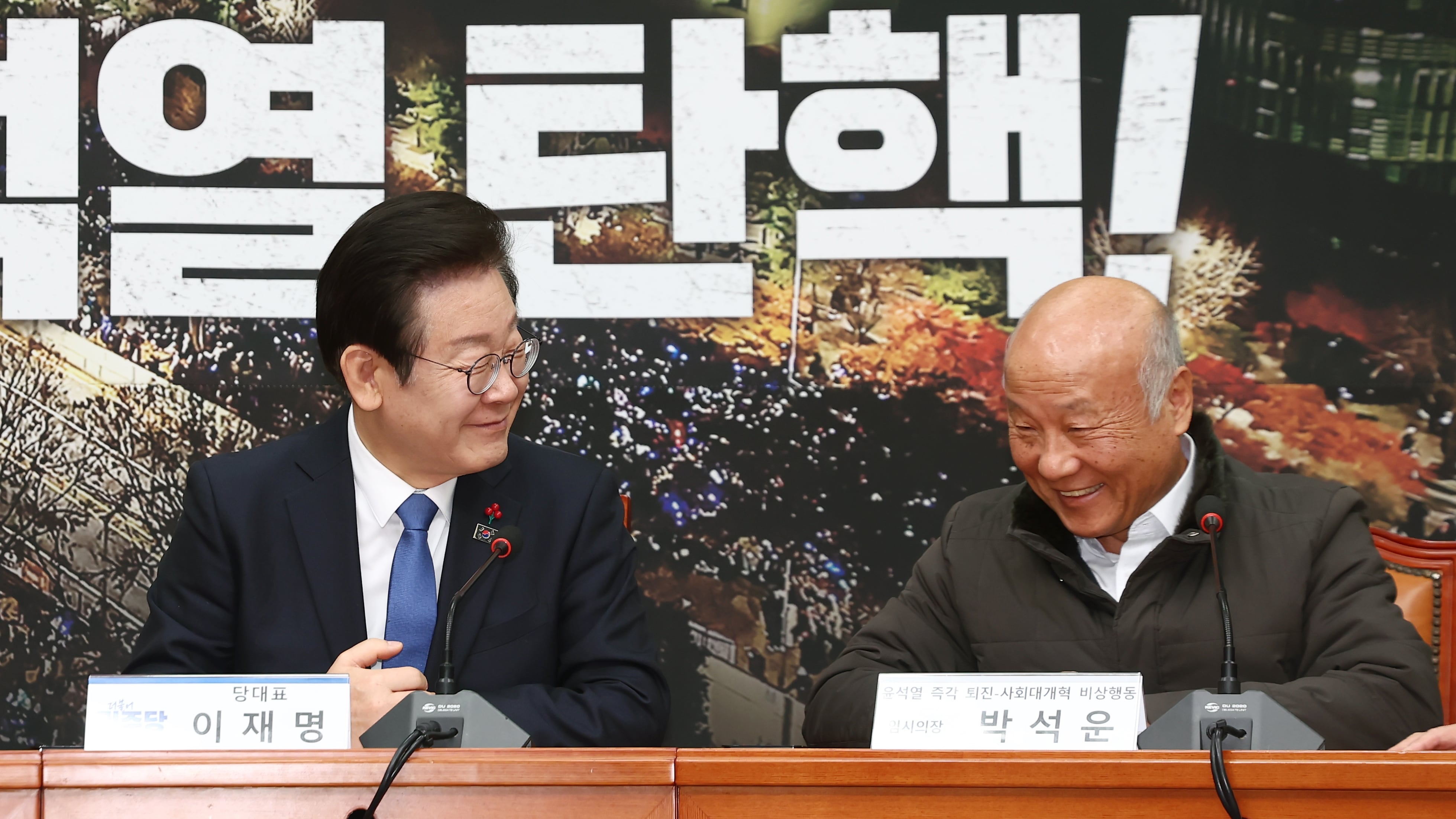Park Seok-woon, 'Professional co-representative,' takes regime's armband