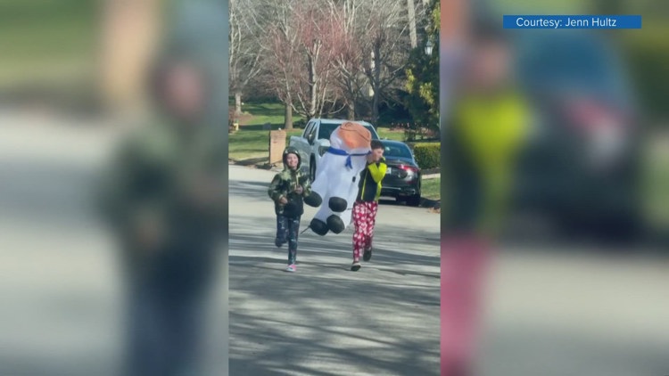 Tinsel, the inflatable Christmas cow unites West Knoxville neighbors in ...