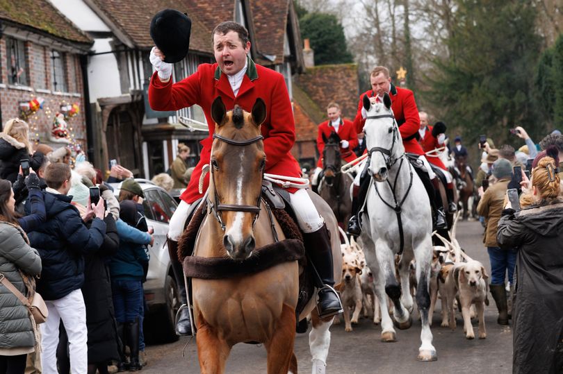 Final Boxing Day fox hunt in photos as Nigel Farage seen watching sick ...