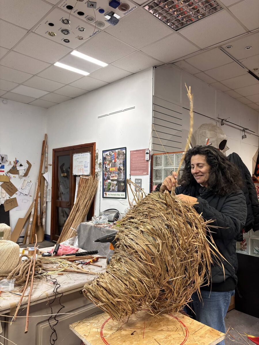 Reviving an ancient tradition: Limerick brings the Wren back to the ...