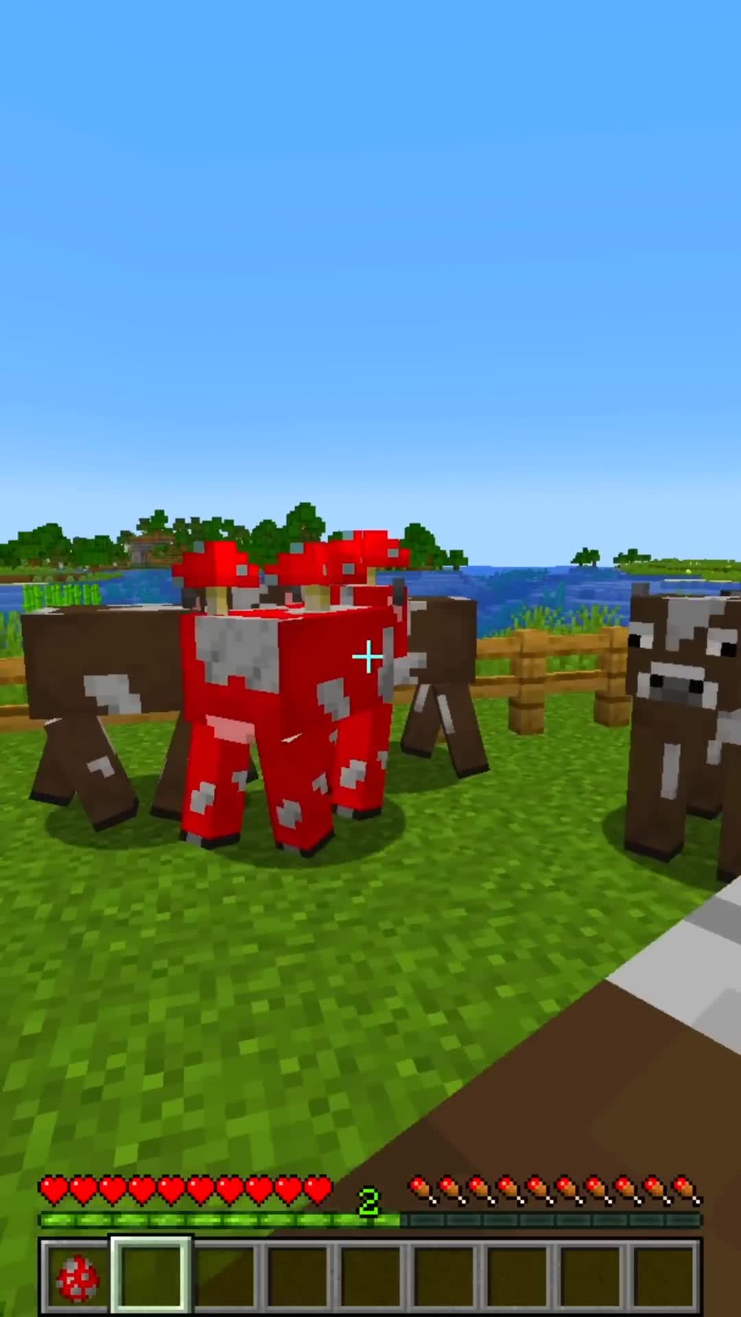 El lore oculto de la vaca seta en Minecraft