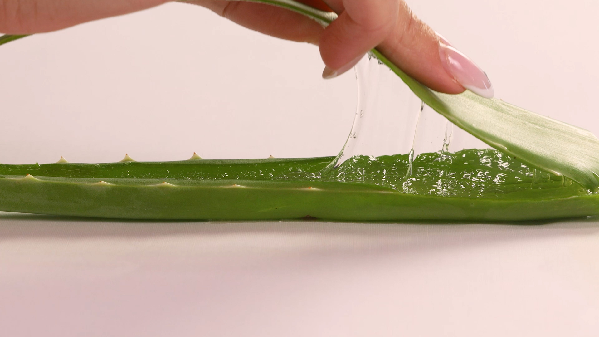 Advantages of everyday aloe vera use
