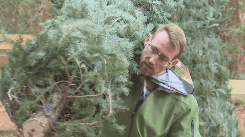 Tariffs raise artificial tree prices as Chattanooga offers recycling ...