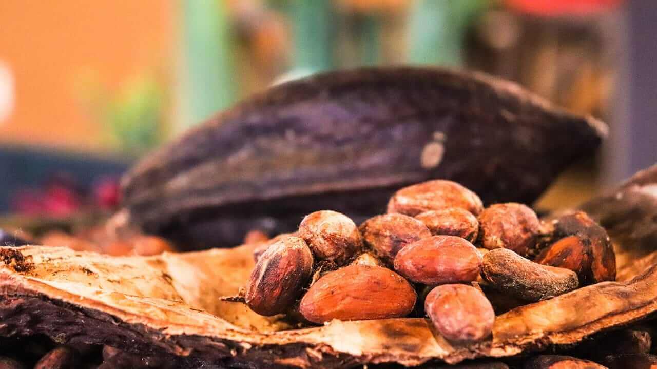 Cocoa prices see some long liquidation pressure