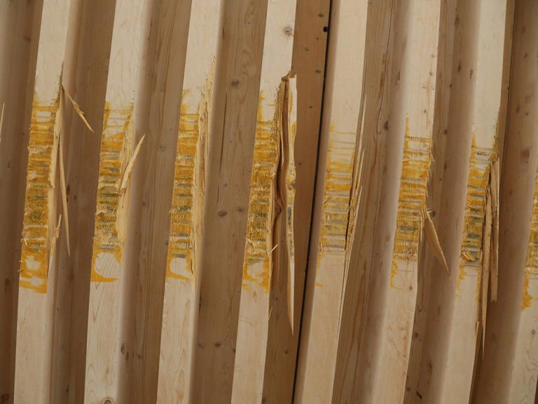 Kìwekì Point damage caused by school bus driving along pathway