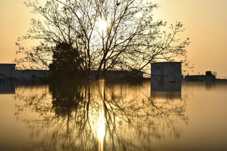 Trump slashes funding and staff for vital climate report