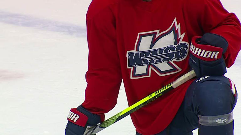 Kalamazoo Wings set to play outdoor game at Waldo Stadium