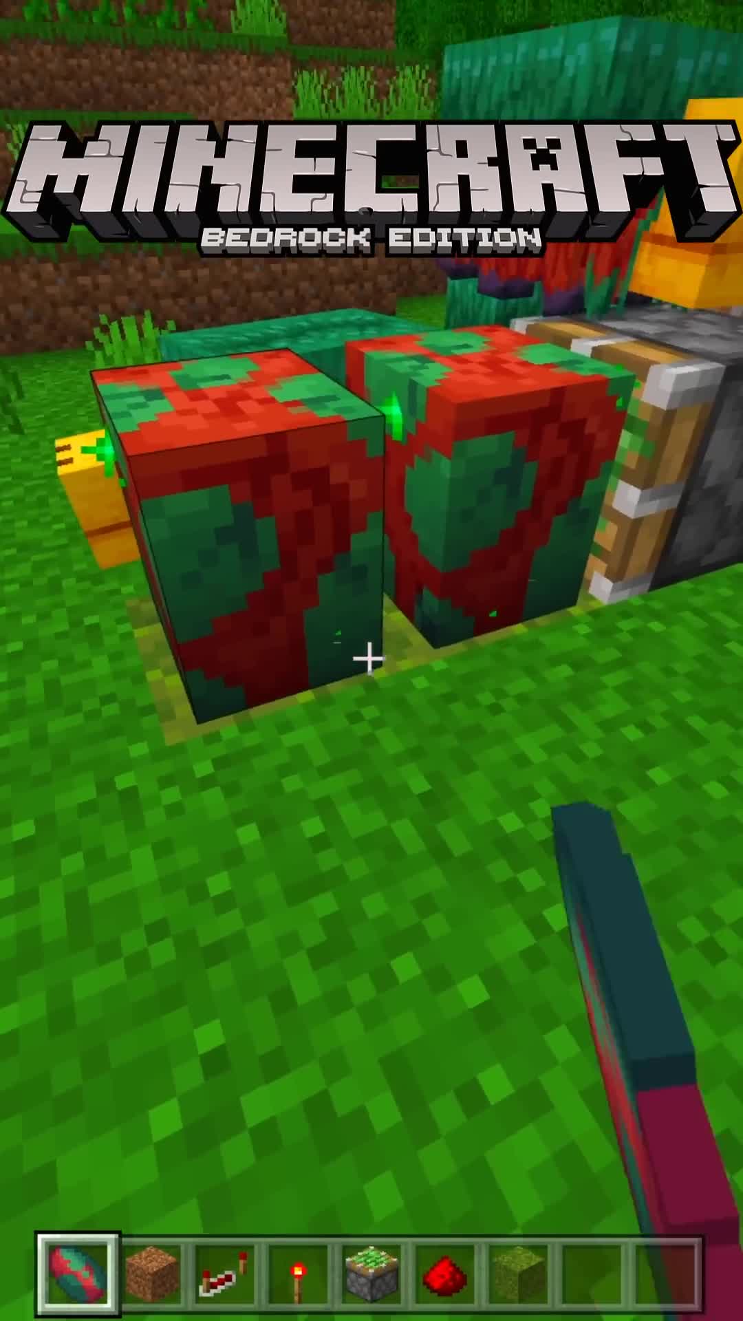 Cosas que no sabías sobre Minecraft #134