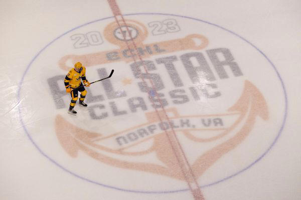 ECHL postpones 13 games after players go on strike