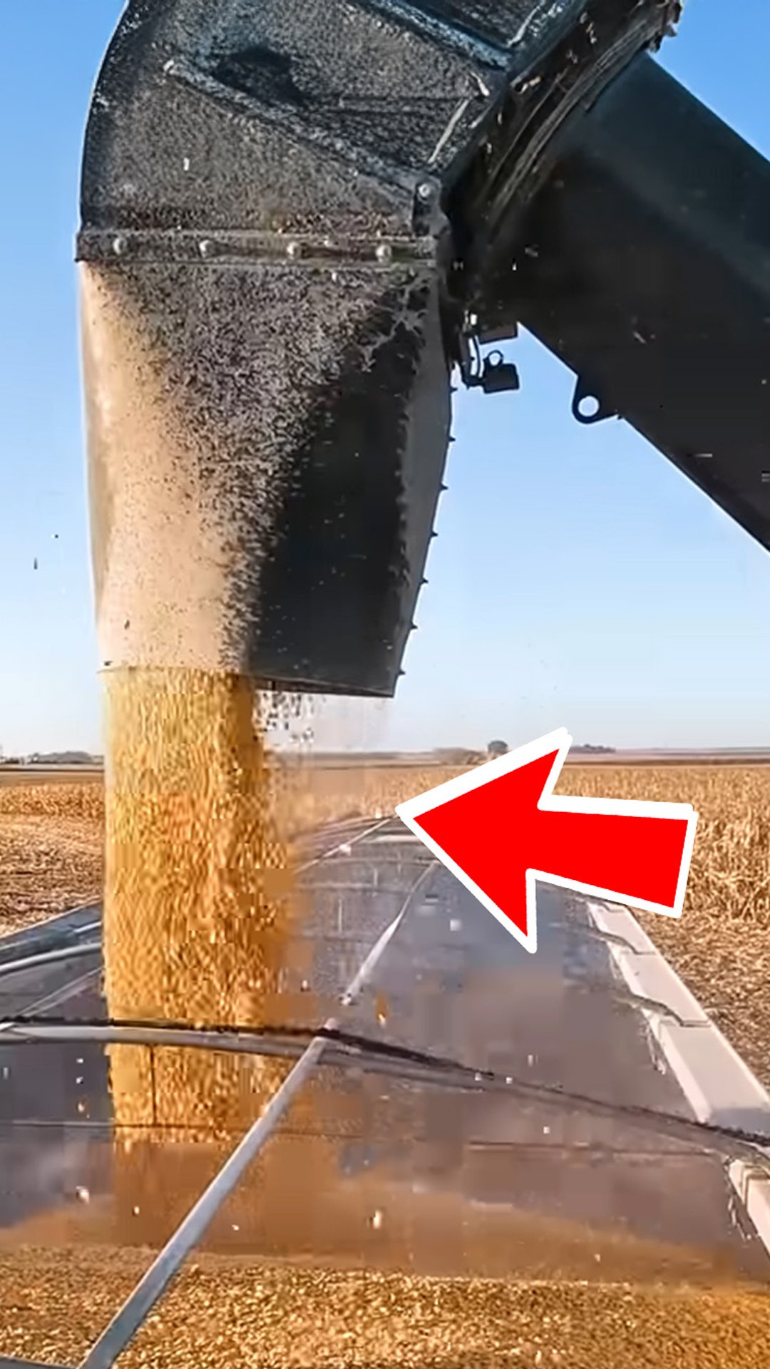 The Worst Cab Corn Experience