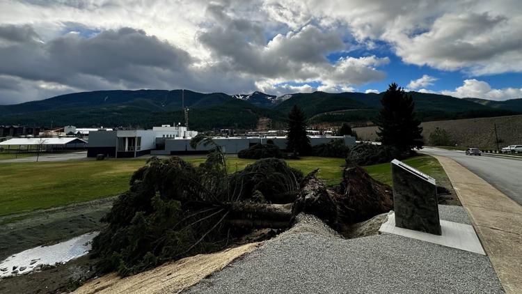 Kellogg School District to replant trees toppled in wind storm