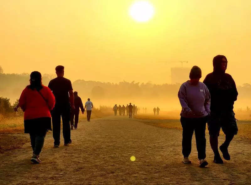 Minimum temperatures to climb up in Dec-end