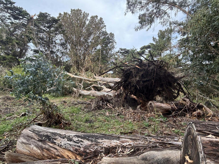 11,000 without power in county, rain slated to pause for the weekend