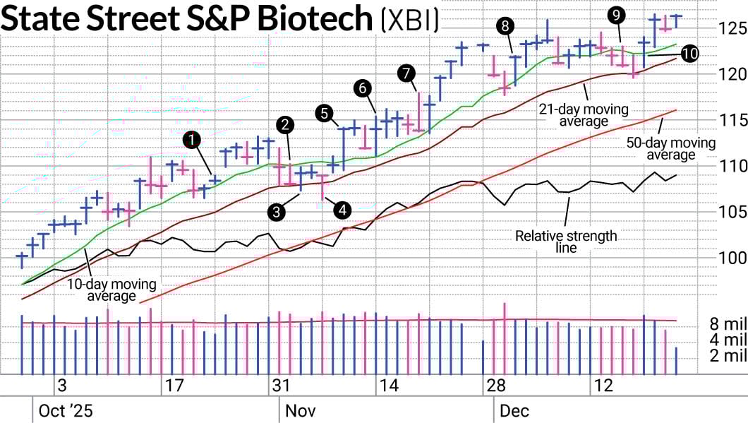 Biotech stocks survive the sector rotation
