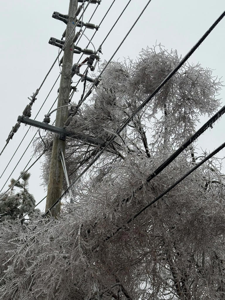 Thousands without power, trees down across southwestern Ontario after ...