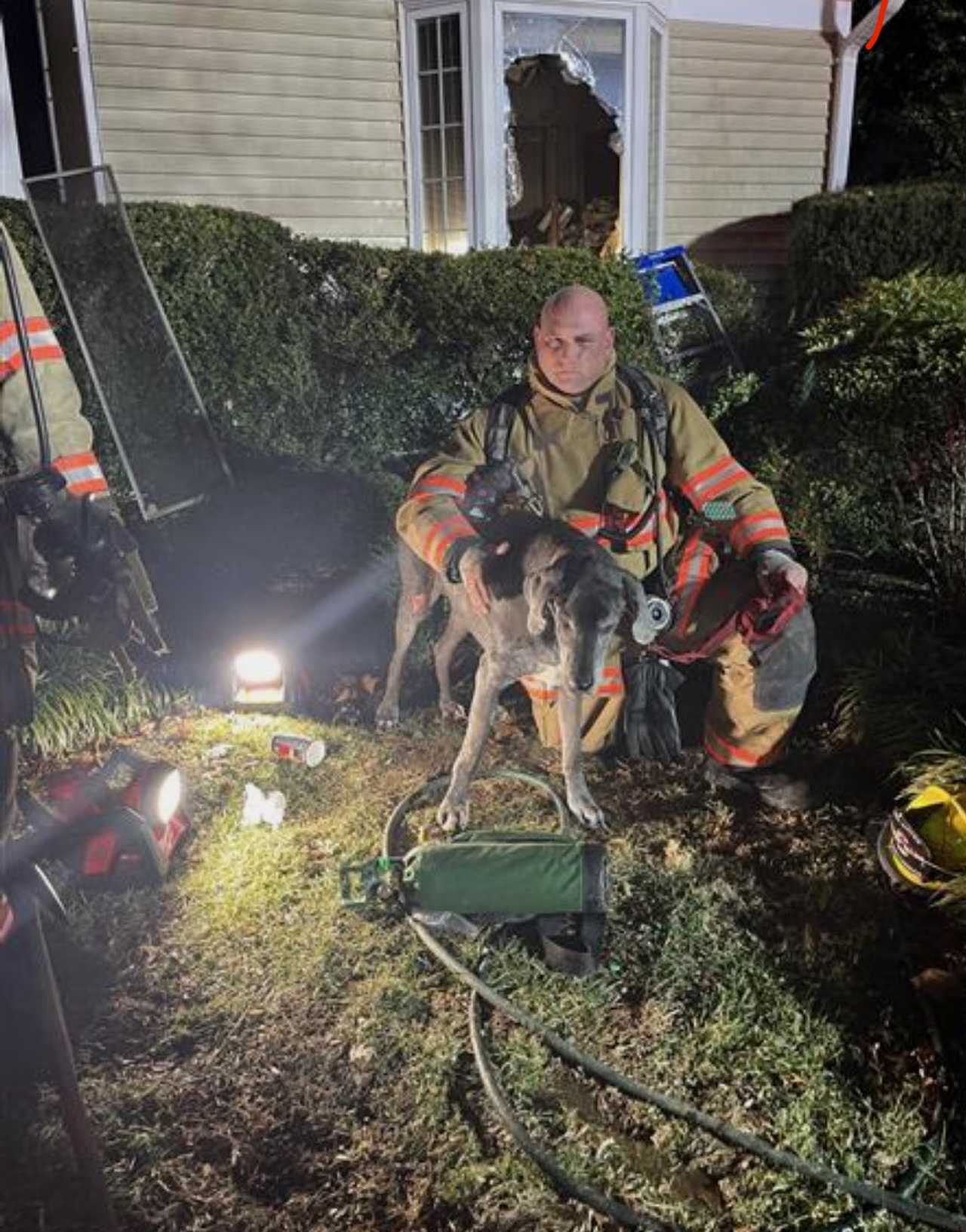 Christmas tree fire injures family, dog rescued as flames rip through ...