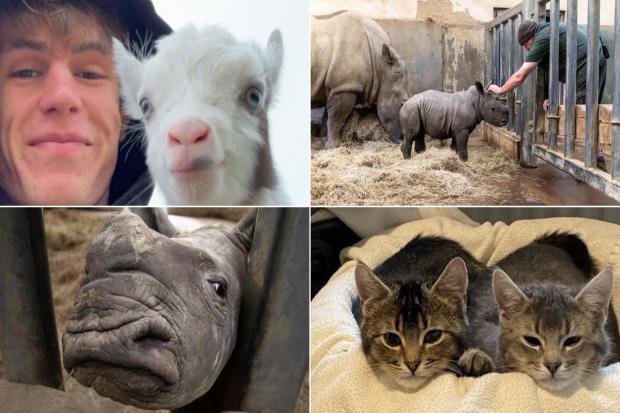 Oxfordshire's five most heart-warming animal stories of 2025