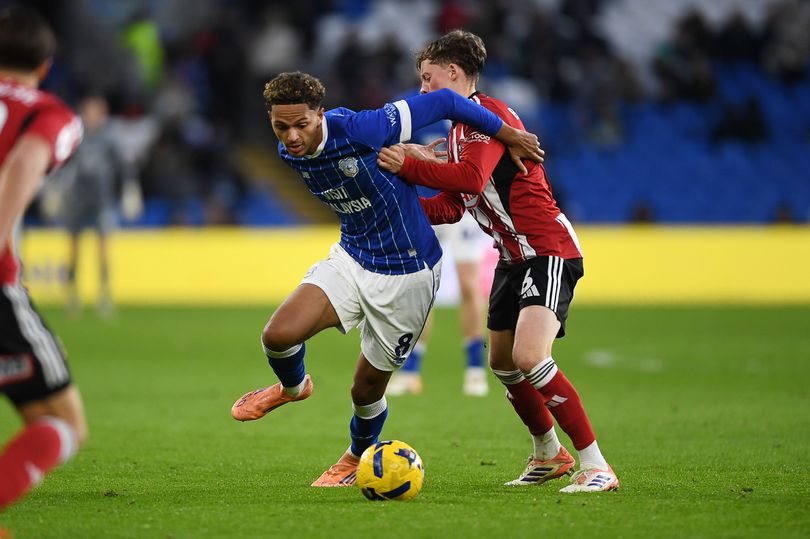 Top Cardiff City player ratings as star man continues to improve and ...
