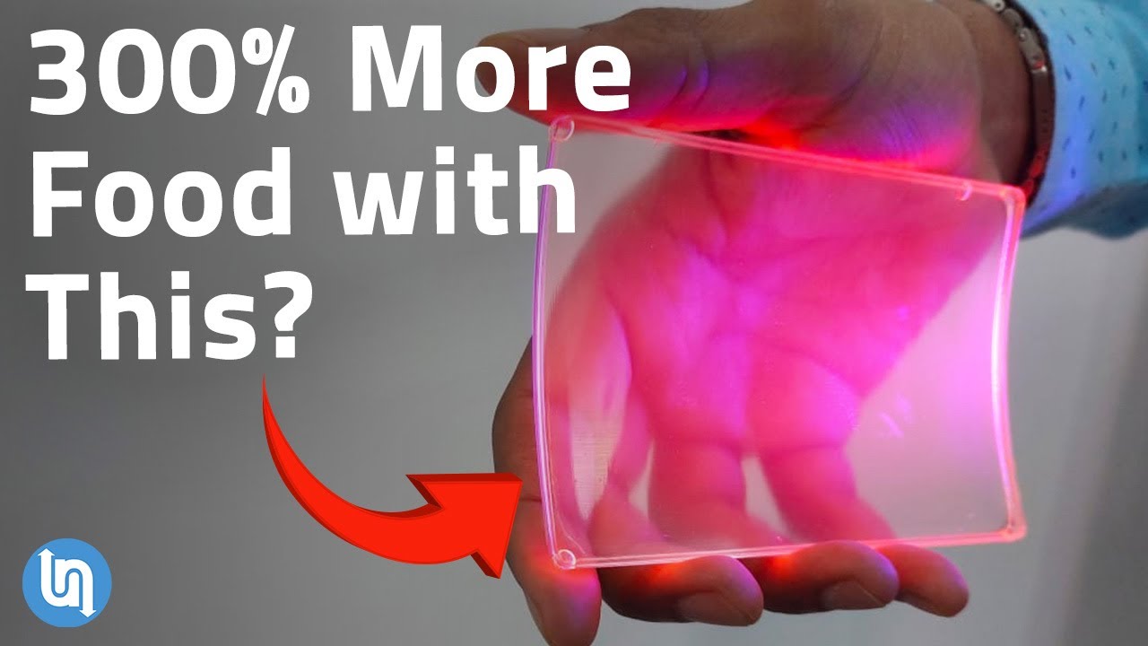 Solar power and farming: A sustainable future?