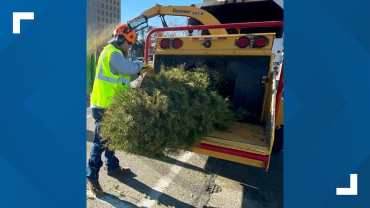 Waco, Temple offering Christmas tree recycling services