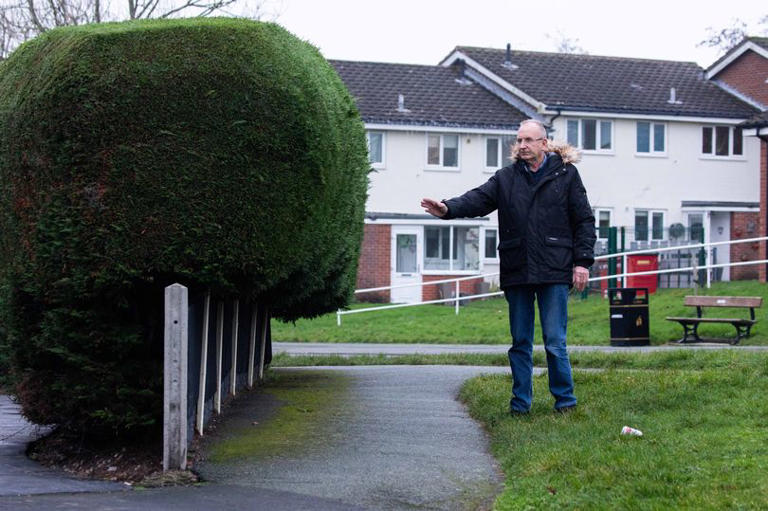 'Nosey neighbour' forces pensioner to cut back 7ft hedge after council ...