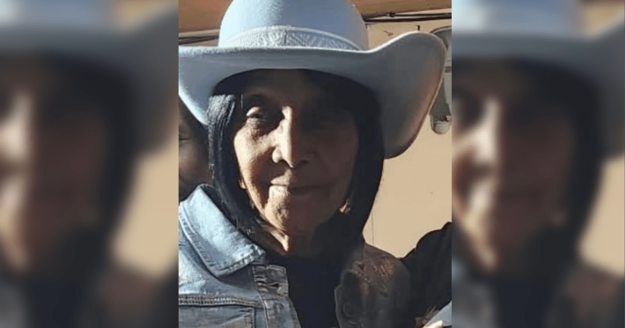 Missing since Christmas, SPD search for missing 86-year-old woman with ...
