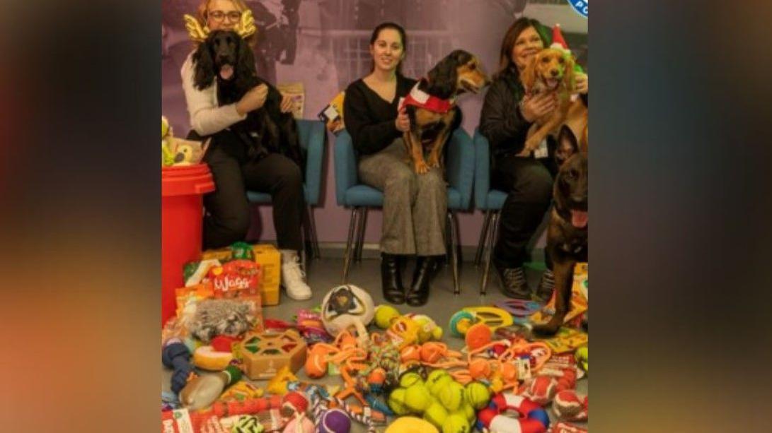 Staff donate toys to 'outstanding' police dogs