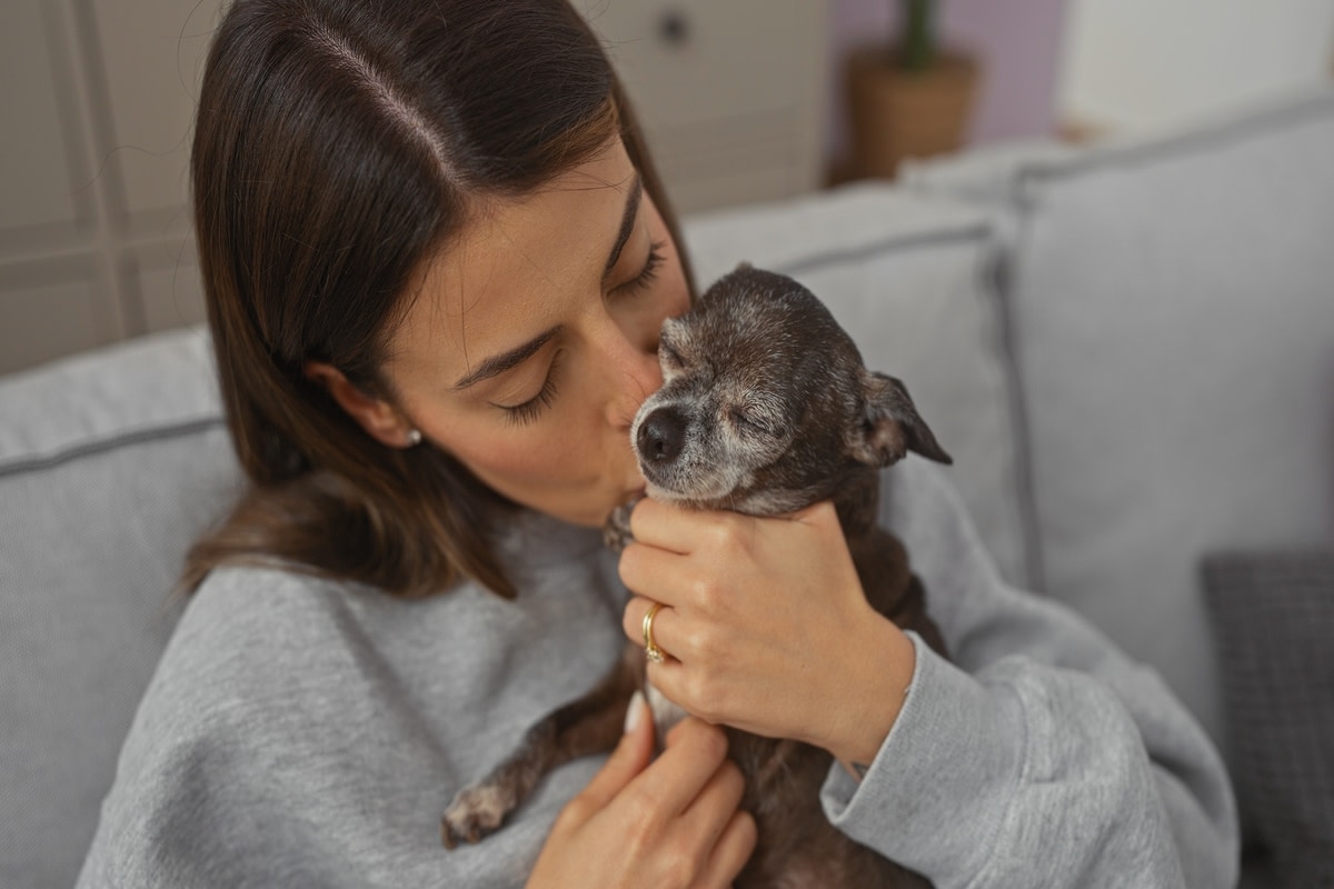 Newly adopted senior chihuahua turns into 'leaping potato' out of ...