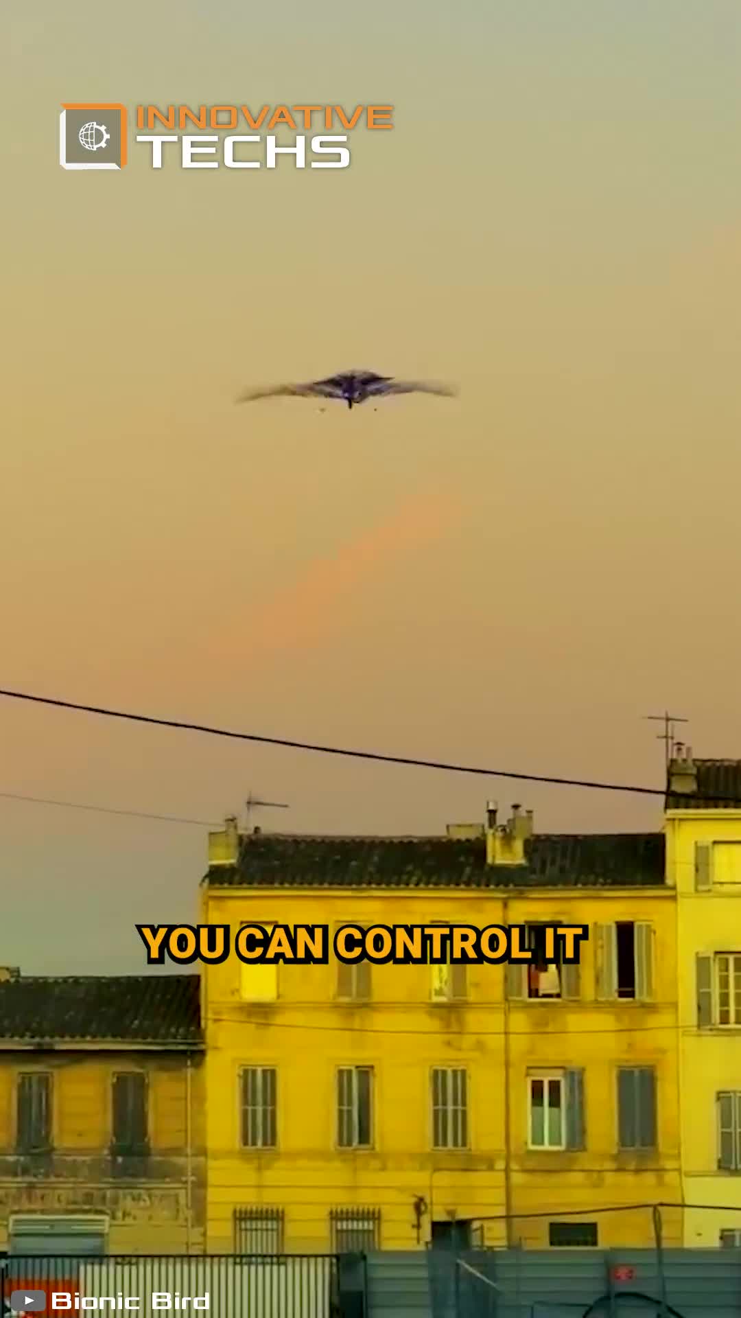 Bionic bird in action: Realistic ornithopter drone flies indoors ...