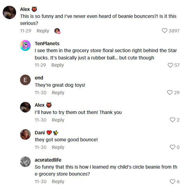 ‘We own the bounce. Innovation can’t be copied.’ – The makers of Beanie ...