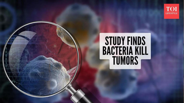 This naturally occurring bacterium killed tumors more effectively than ...