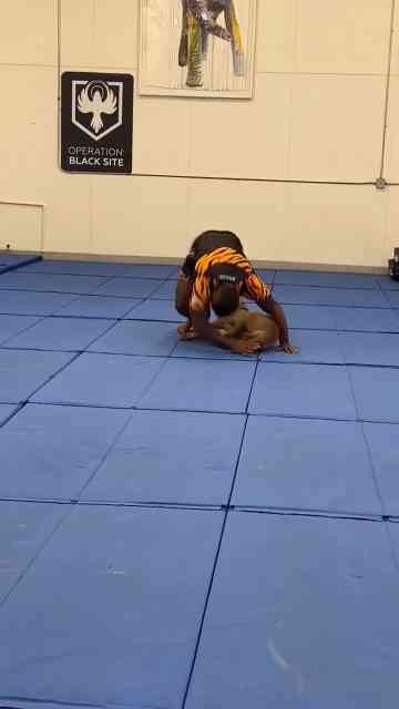 Meet Bruno: The puppy training for the Ultimate Fighting Championship ...