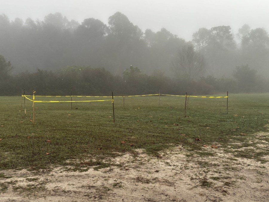 Don’t trash it: Pasco County parks want your Christmas tree