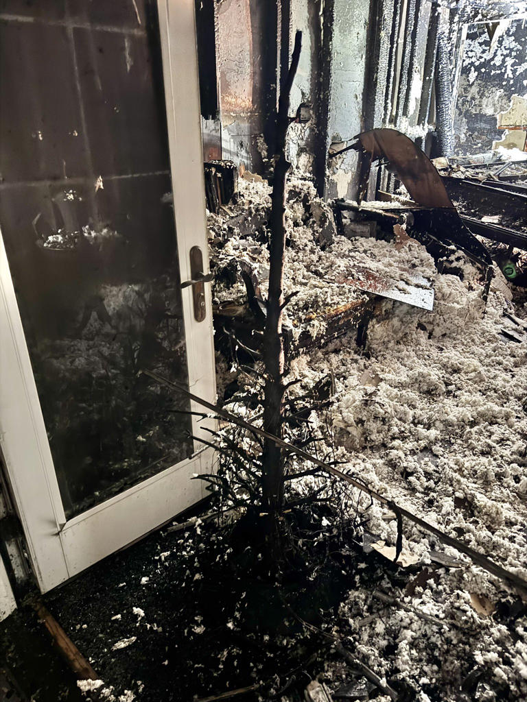 Christmas tree fire leaves four injured in Bethesda