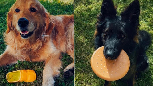 McDonald’s launches its first ever dog toy collection
